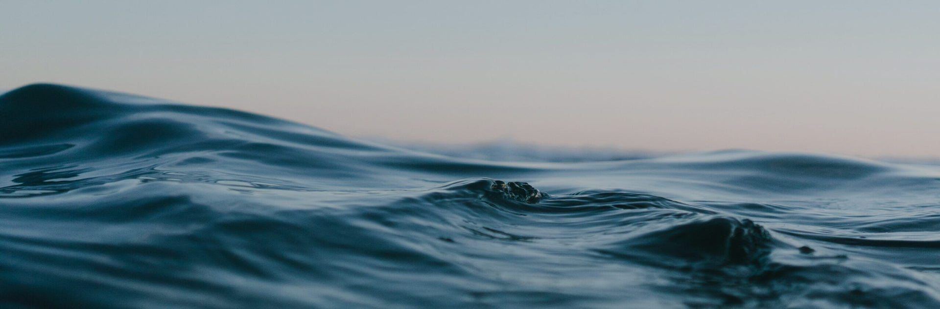 Products – Ocean Freedom ZA